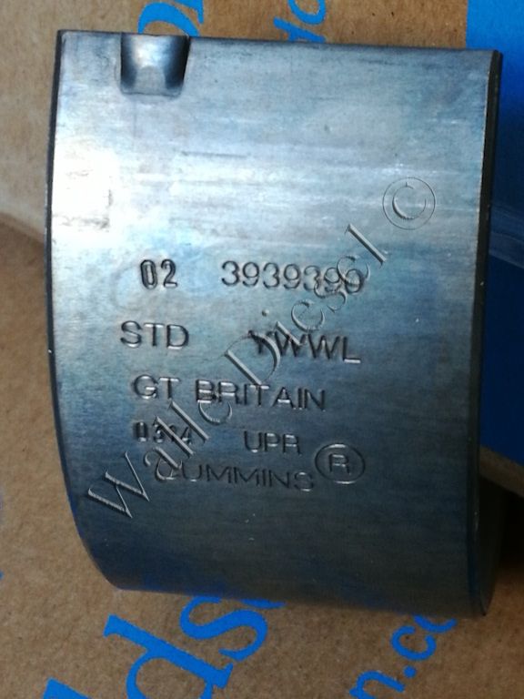 3939390 Connecting Rod Bearing