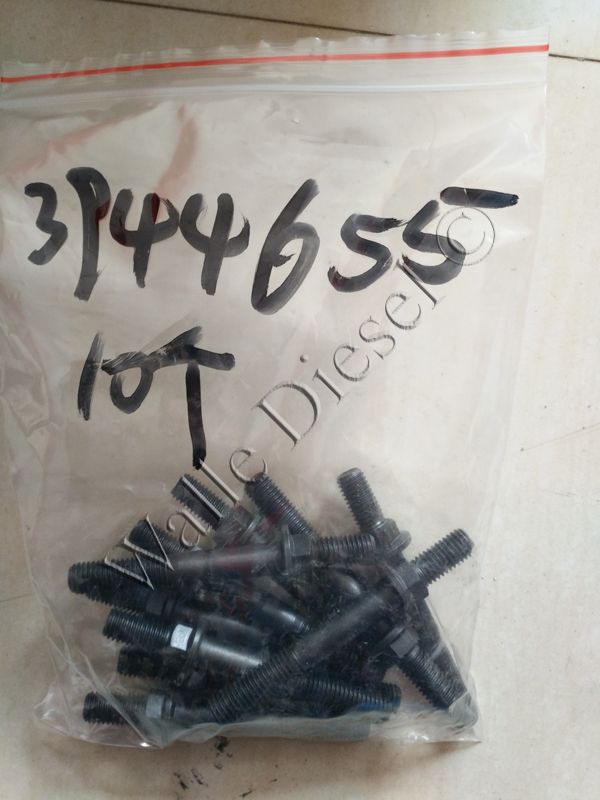 3944655 Studded Flange Cap Screw