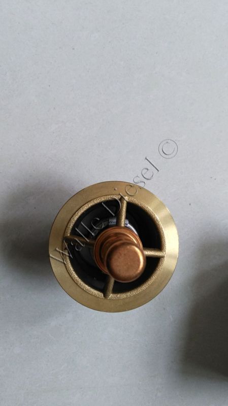 4000464 Thermostat