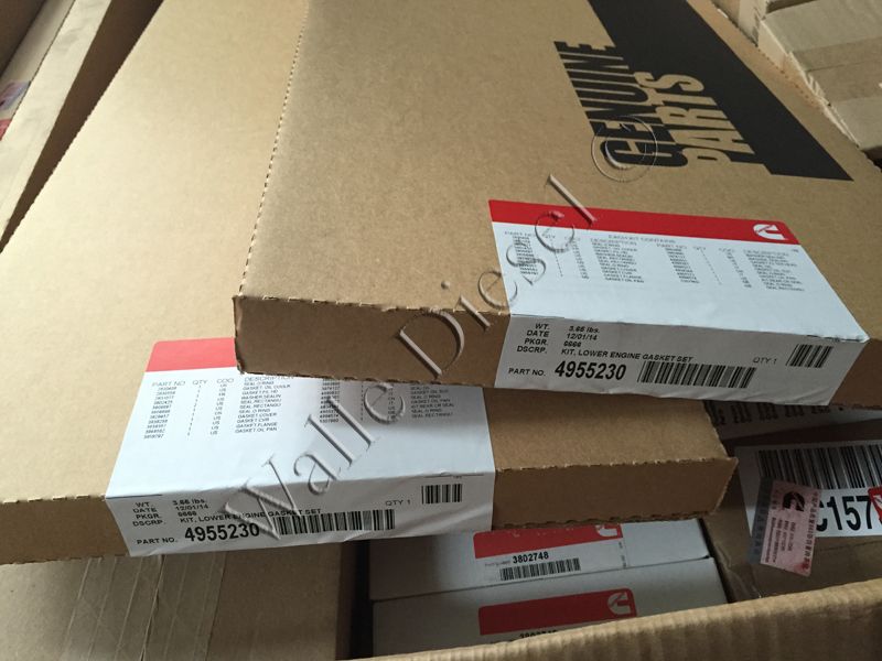 4955230 Lower Engine Gasket Kit