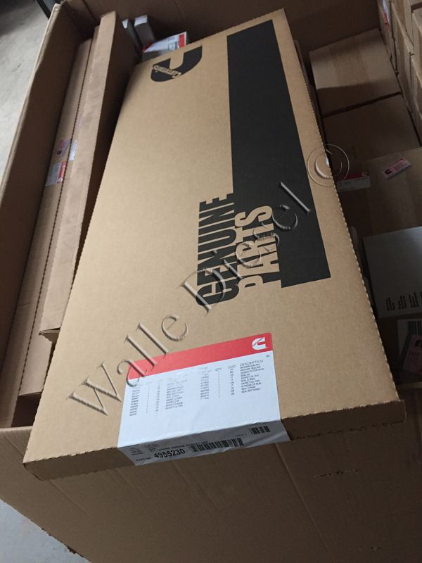 4955230 Lower Engine Gasket Kit