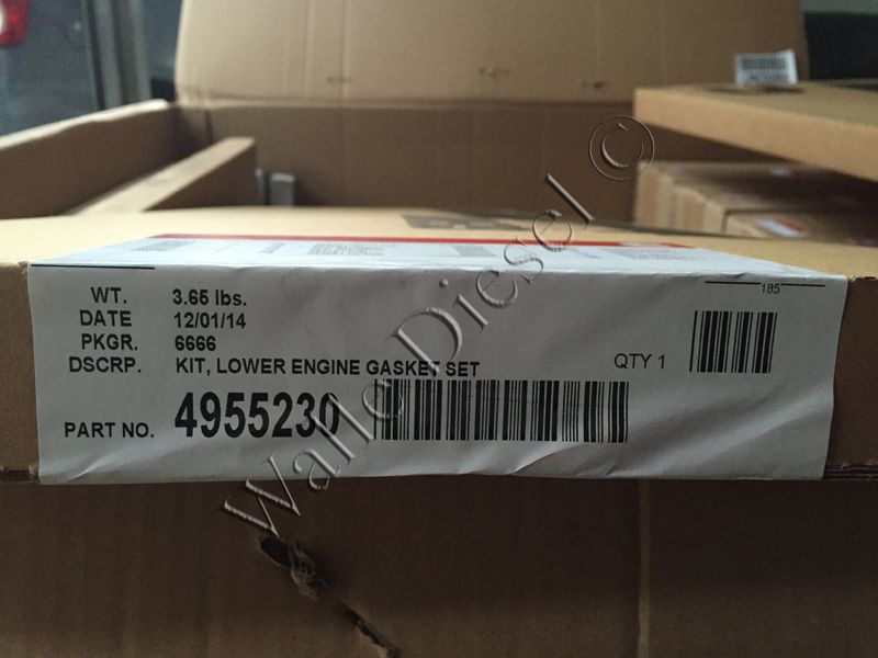 4955230 Lower Engine Gasket Kit