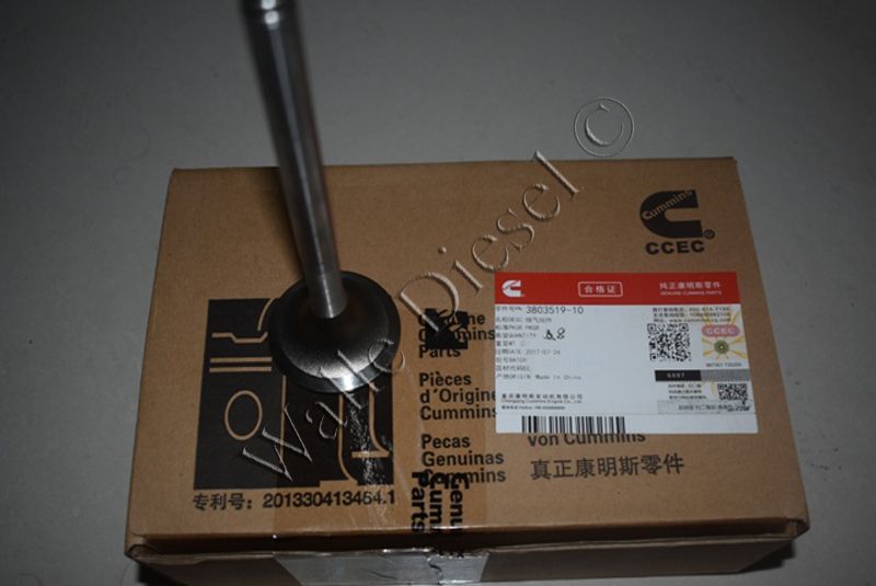 3803519 Exhaust Valve